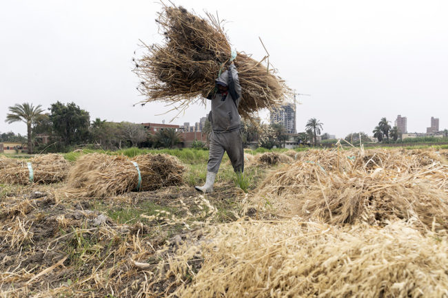 Último número de Afkar/Ideas